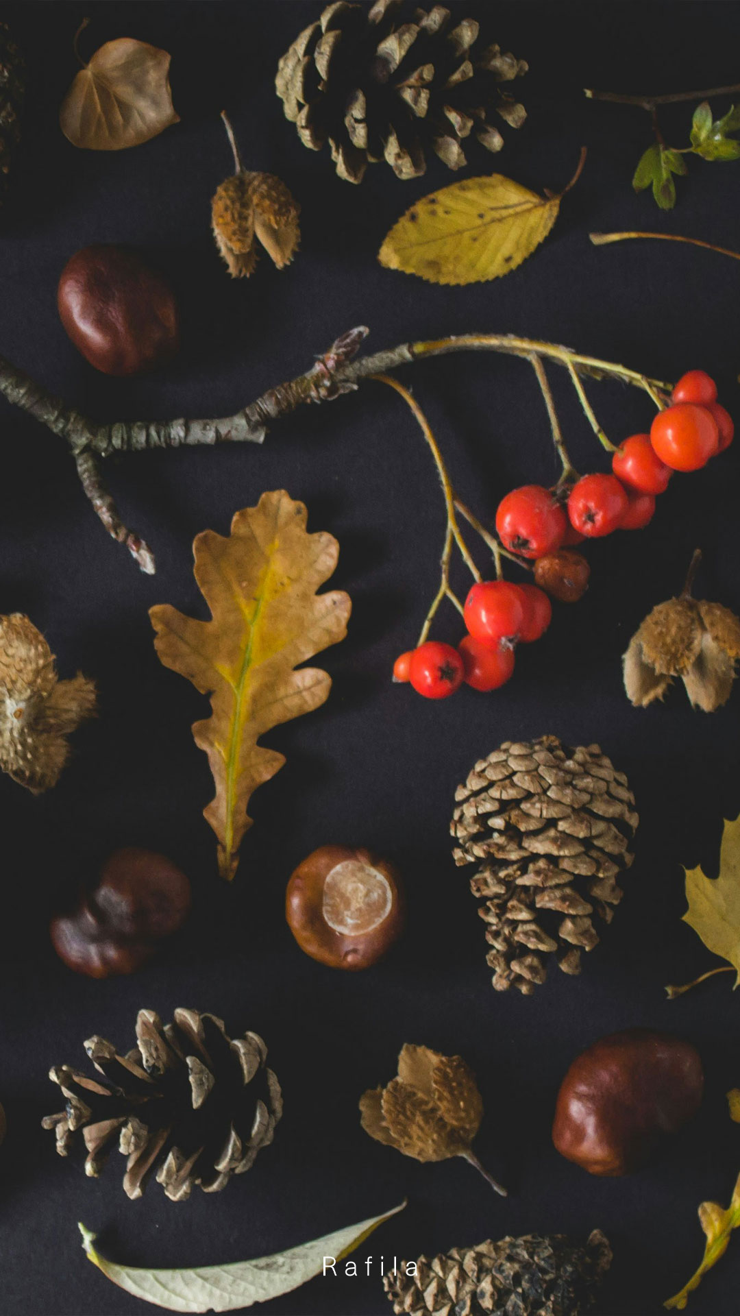 Rafila待ち受け画像配布 | Rafila（ラフィラ）