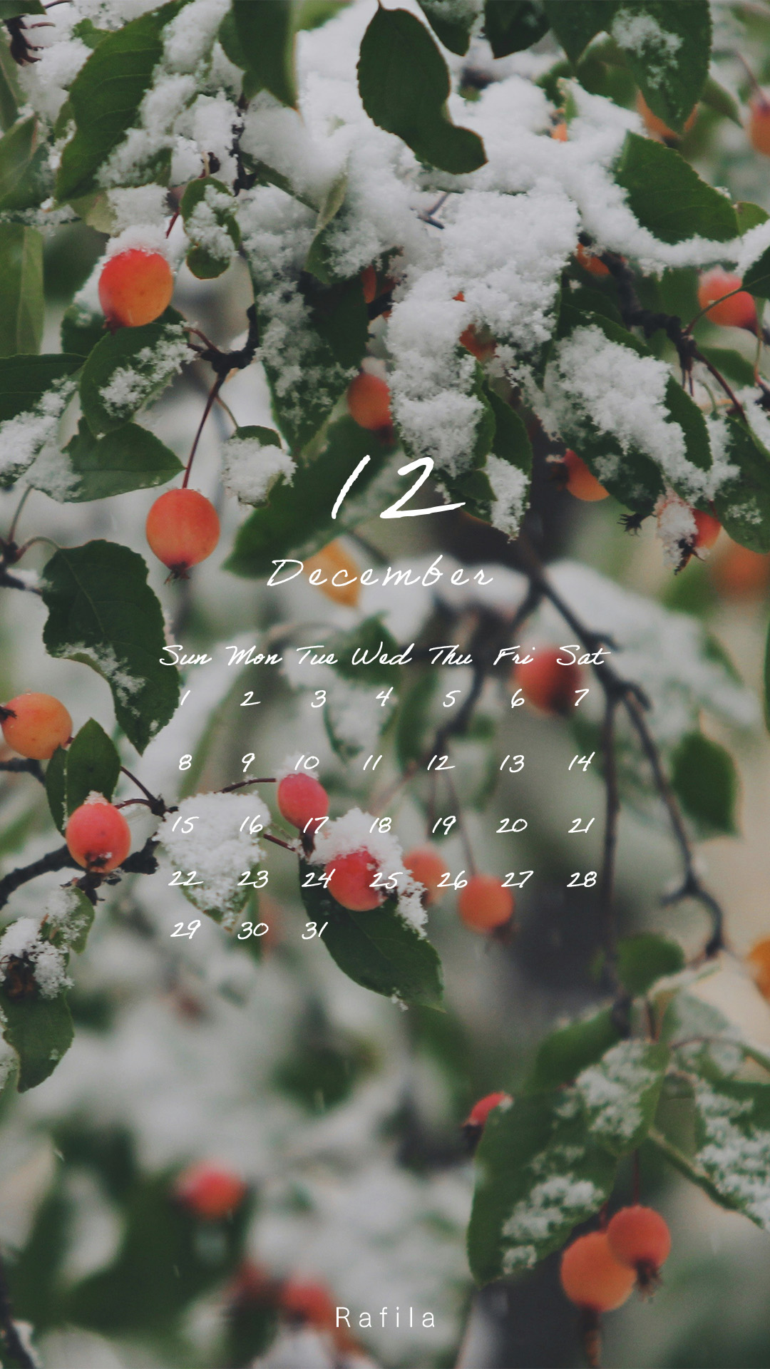 Rafila待ち受け画像配布 | Rafila（ラフィラ）